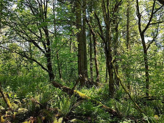 0 NE 294th Circle, La Center, WA 98629 | MLS #2239778 | Zillow