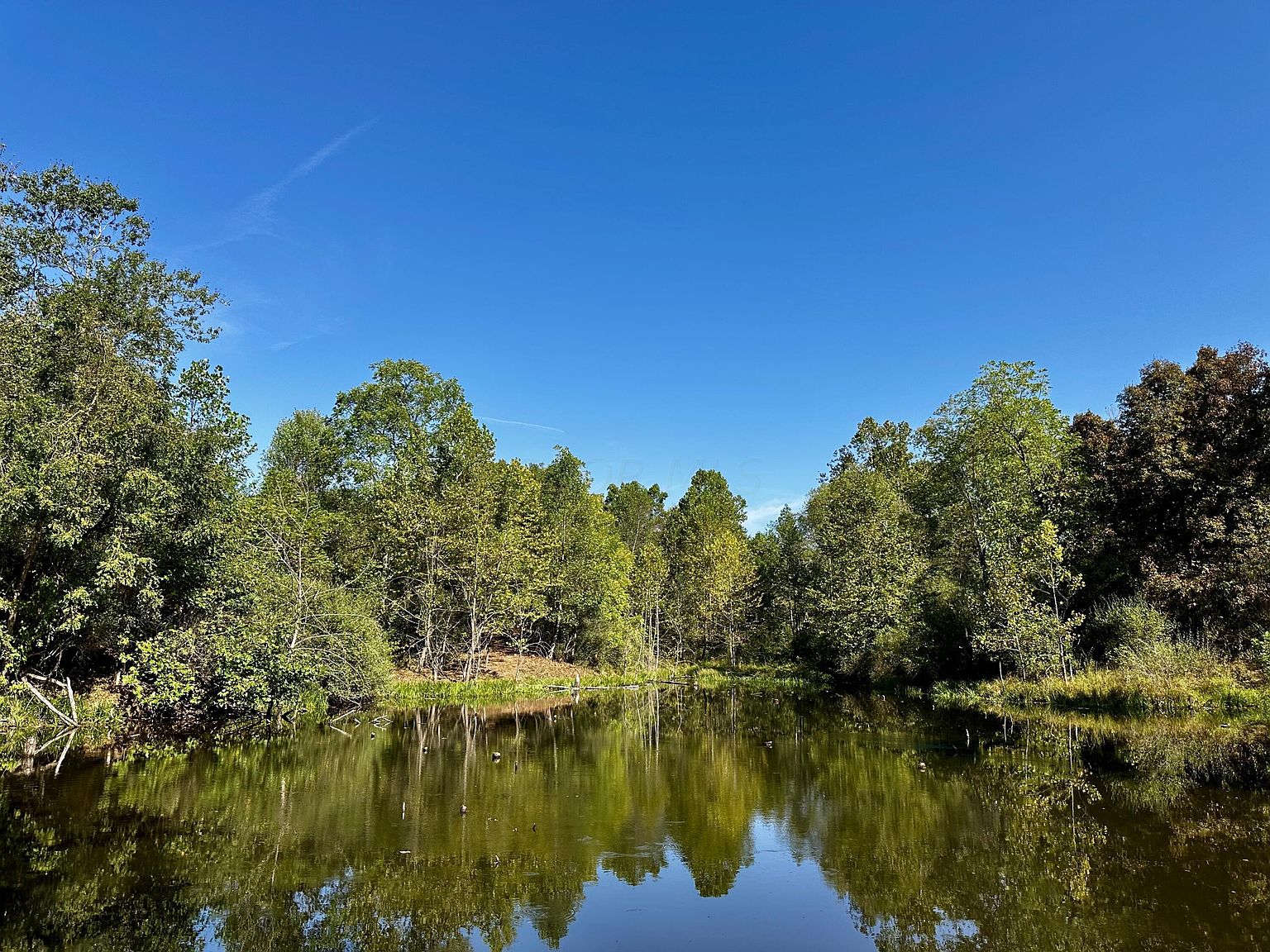 0 Dutch Ridge Rd SE TRACT 5, New Straitsville, OH 43766 | Zillow