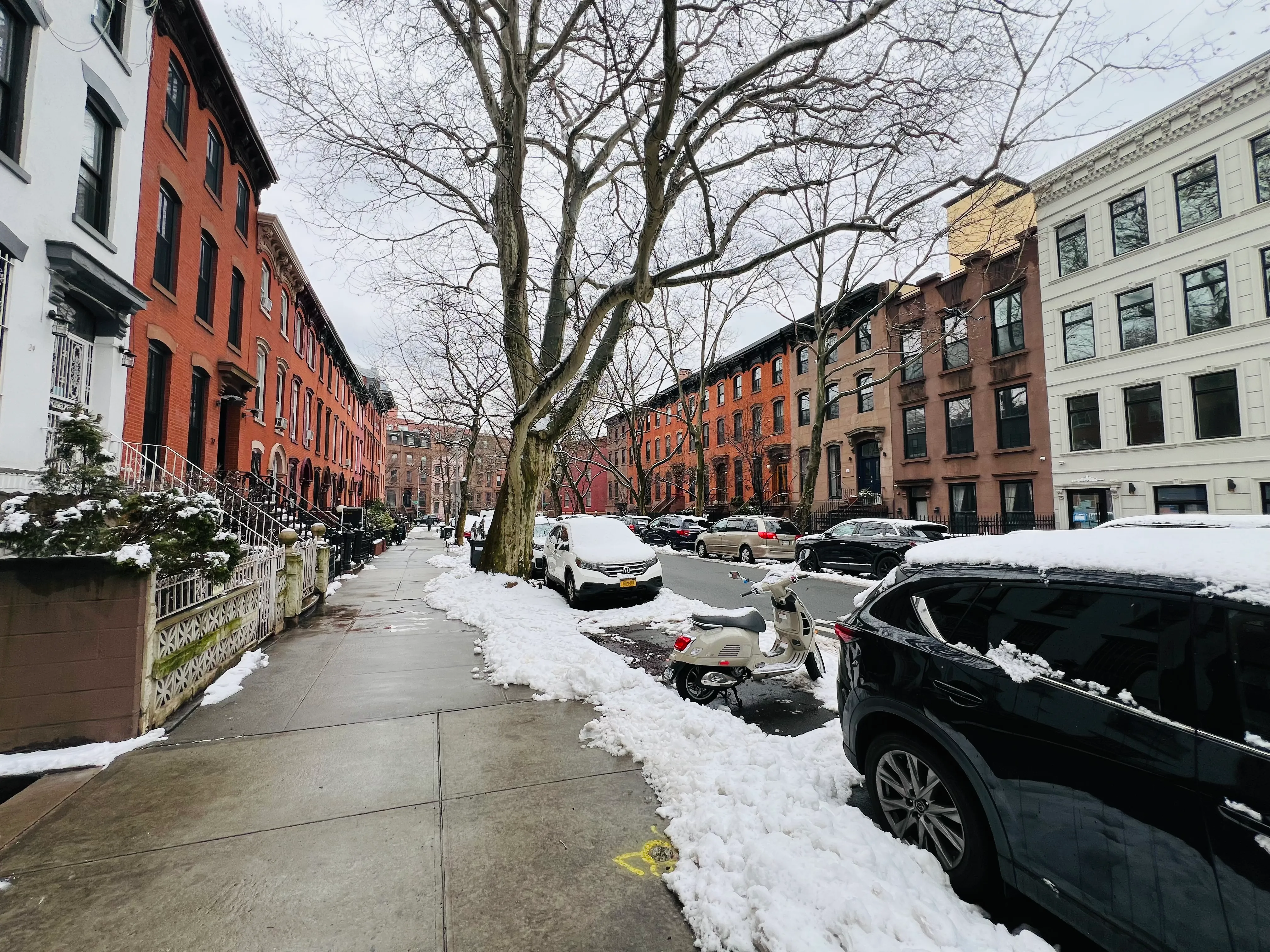 28 Lefferts Place #1 in Clinton Hill, Brooklyn | StreetEasy