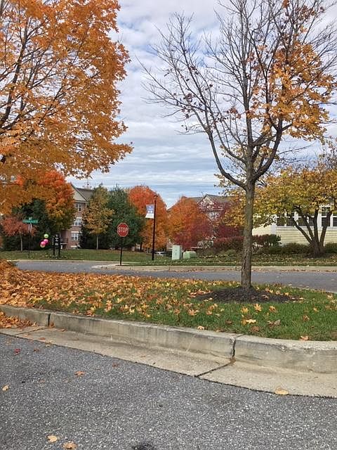 9445 Common Brook Rd Owings Mills MD | Zillow