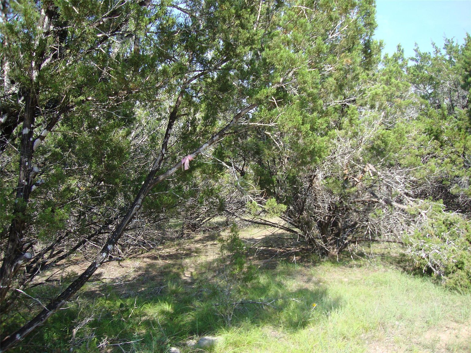 36 Travis Oaks Dr, Marble Falls, TX 78654 | MLS #4048504 | Zillow