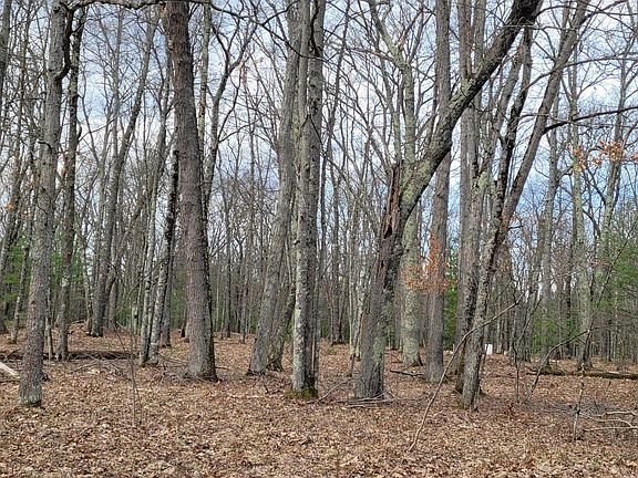 5580 N Syers Dr, Luther, MI 49656 | Zillow