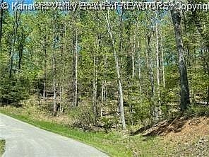 14 Stoney Creek Dr, Ripley, WV 25271 | MLS #276331 | Zillow