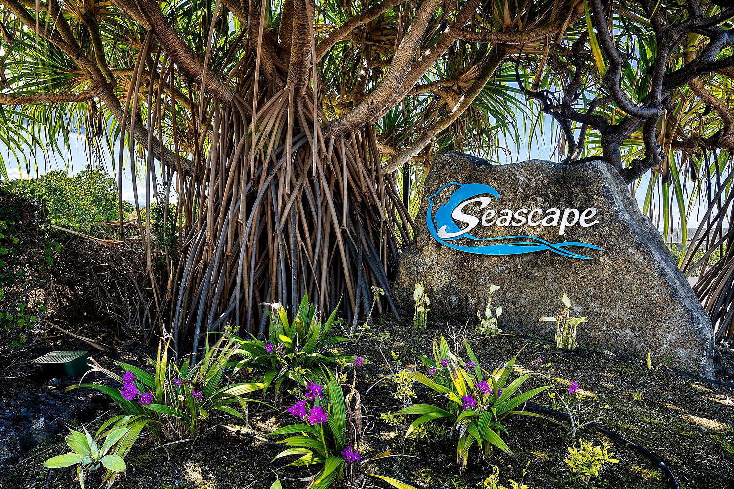 73-1104 Nuuanu Pl UNIT G203, Kailua Kona, HI 96740 | MLS #727255 | Zillow