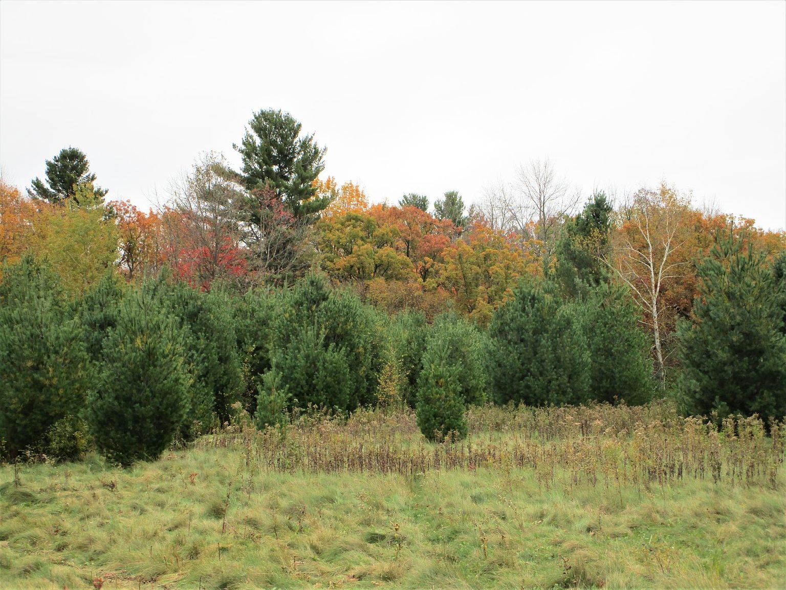 PARCEL 2 90th St, Frederic, WI 54837 | Zillow