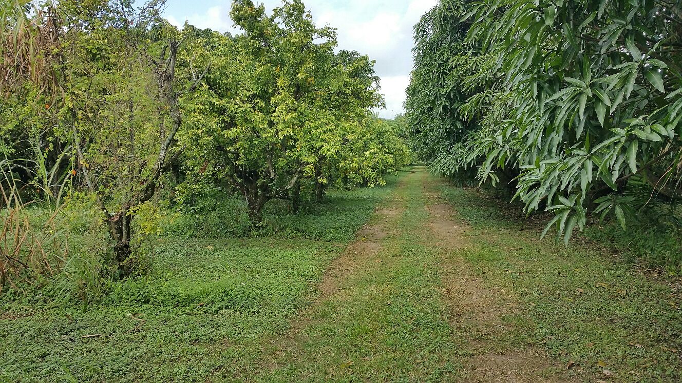 14410 SW 200th St, Miami, FL 33177 | Zillow