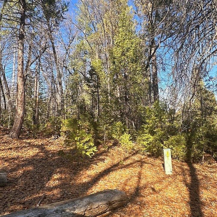 7121 Hites Cove Rd, Mariposa, CA 95338 | Zillow