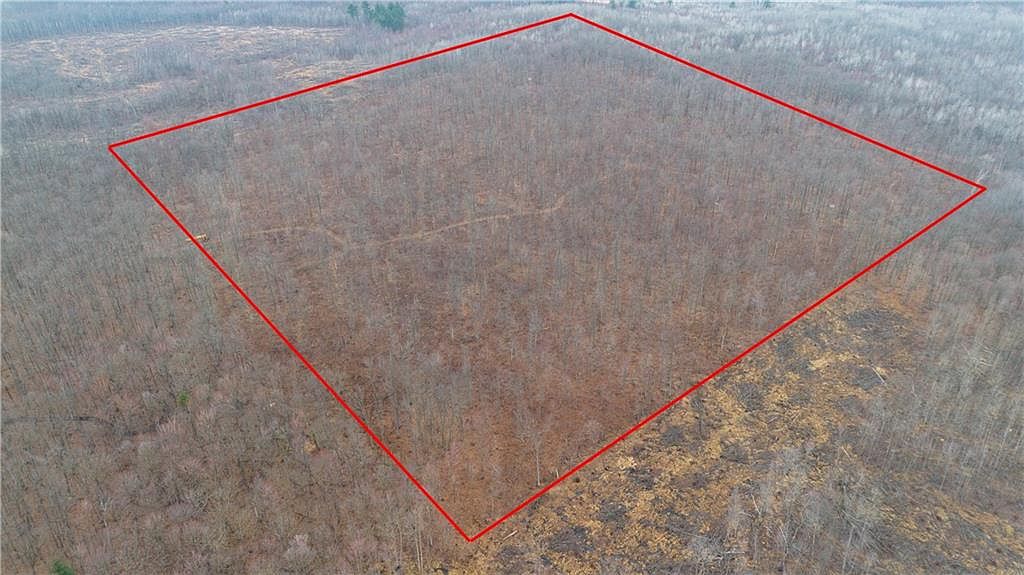 40 Acres Dickerson Avenue, Thorp, WI 54771 | MLS #1590566 | Zillow