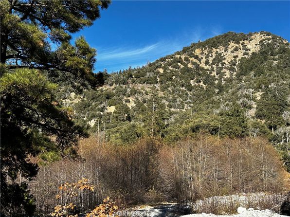 Forest Falls CA Real Estate - Forest Falls CA Homes For Sale | Zillow