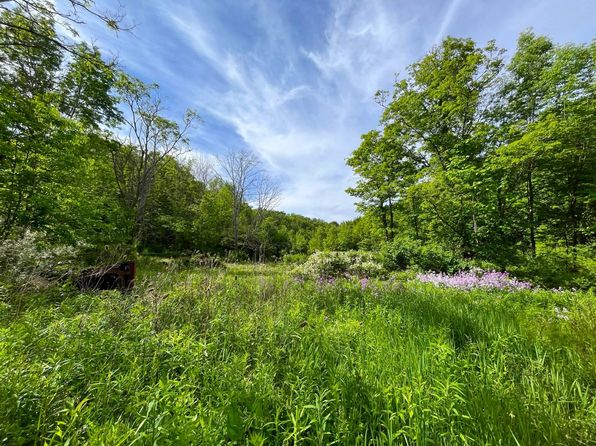 Freedom NY Real Estate - Freedom NY Homes For Sale | Zillow