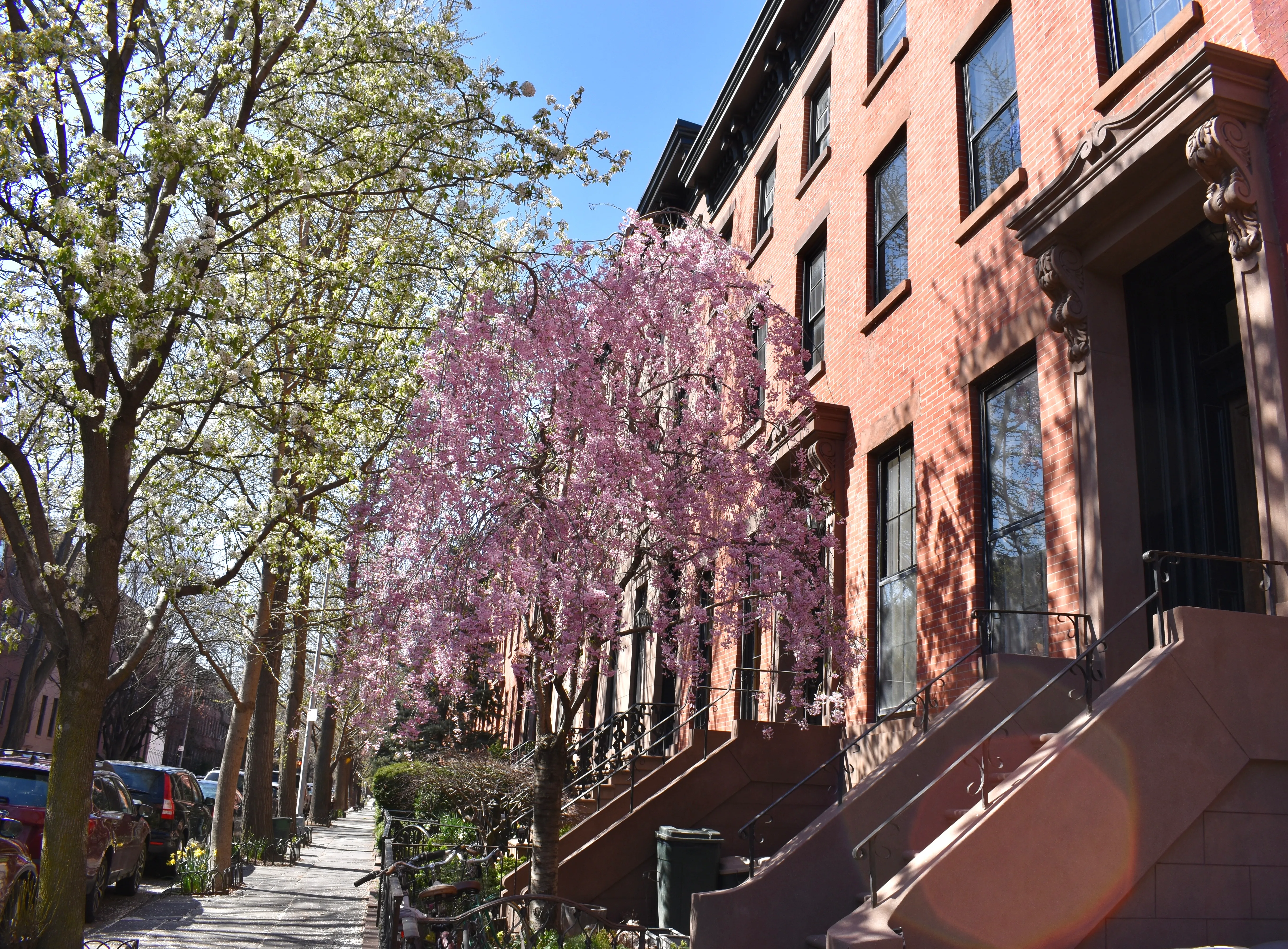 435 Pacific Street #2 in Boerum Hill, Brooklyn | StreetEasy