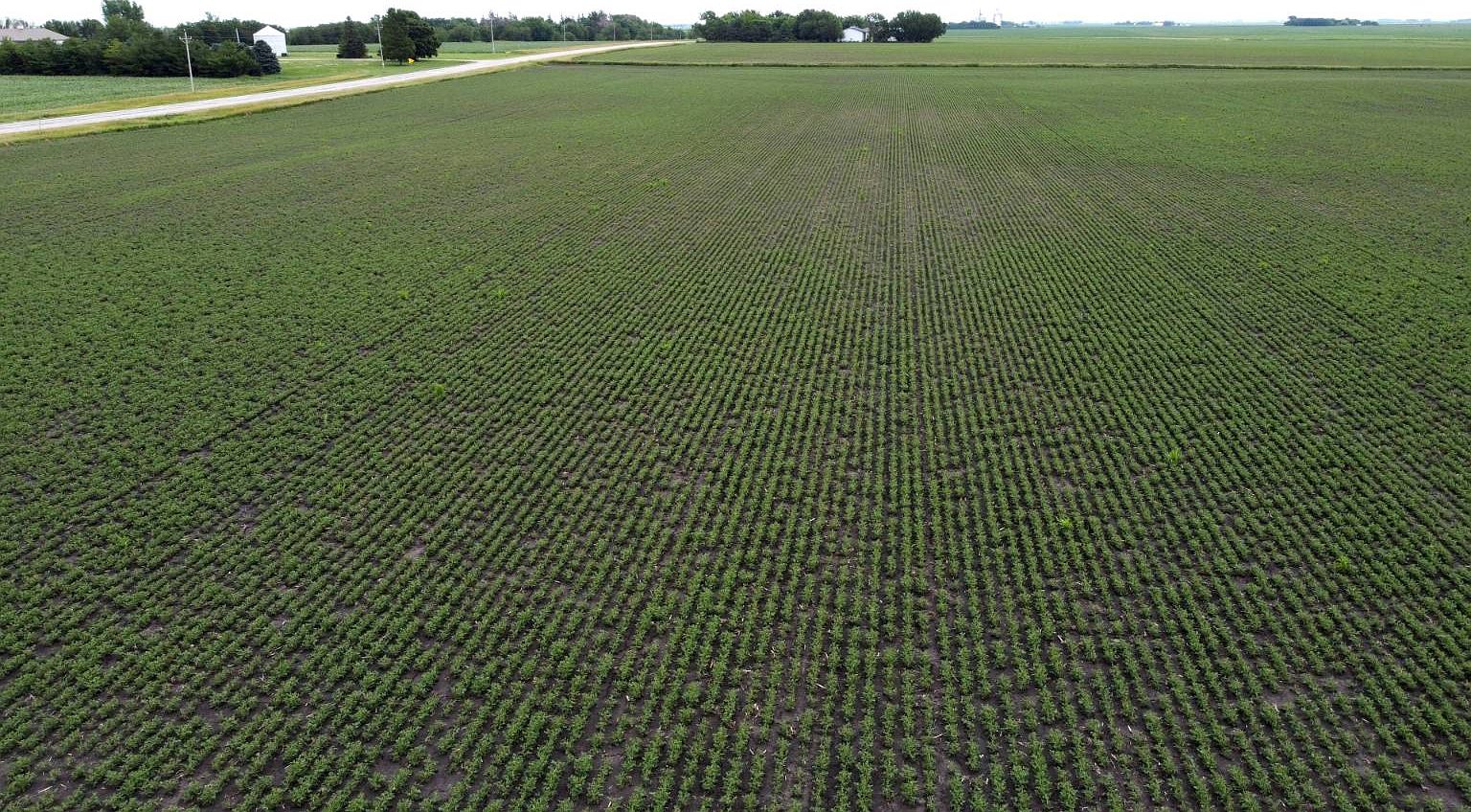 450th St, Havelock, IA 50546 | MLS #11320595 | Zillow