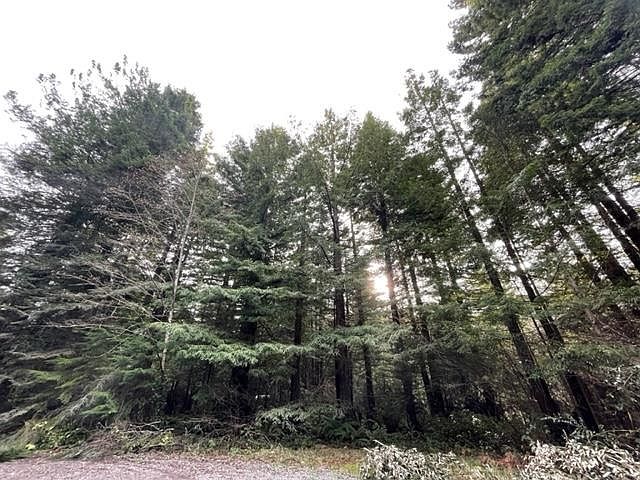 250 Evert Sargent Ln, Crescent City, CA 95531 | Zillow