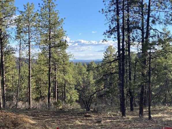 Durango Real Estate - Durango CO Homes For Sale | Zillow