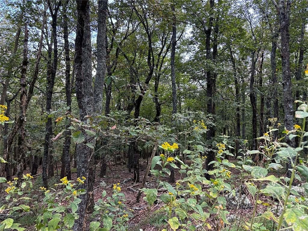 0 Little Hendricks Mountain Cir #290, Jasper, GA 30143 | MLS #7716930 ...