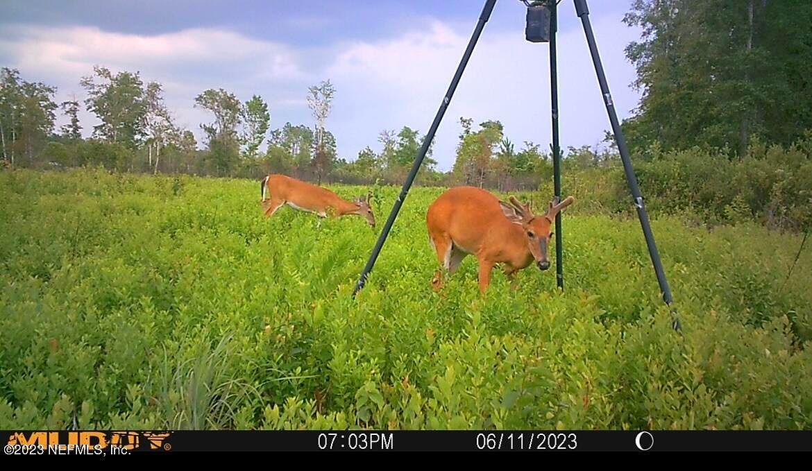 20365 NE 104TH Way, Lake Butler, FL 32054 | MLS #1258699 | Zillow