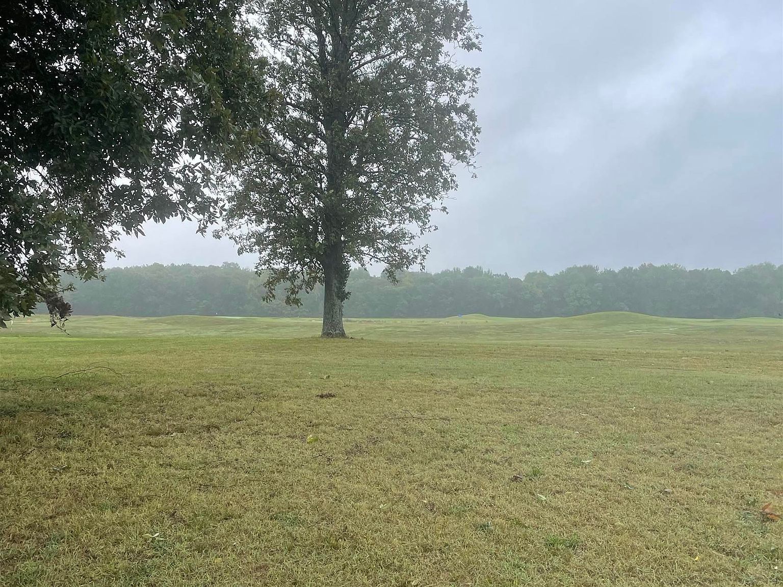 Torrey Pines Dr, Ledbetter, KY 42058 | Zillow