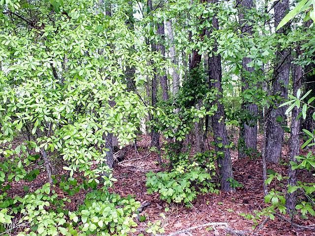 685 Bunn Elementary School Rd, Bunn, NC 27508 | MLS #10028423 | Zillow