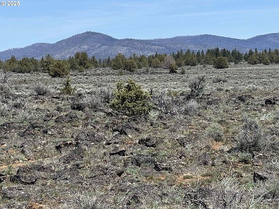 Oregon Pines Rd #1200, Beatty, OR 97621 | MLS #591865836 | Zillow