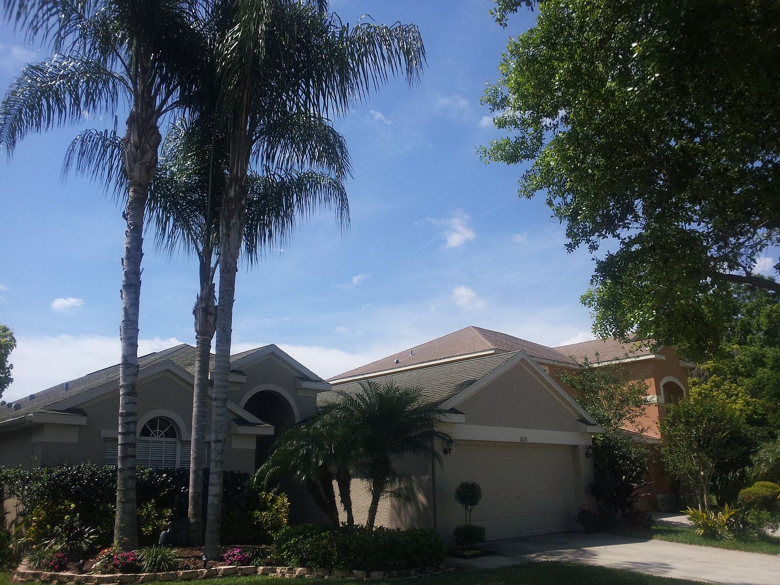 2630 Billingham Dr, Land O Lakes, FL 34639 | Zillow