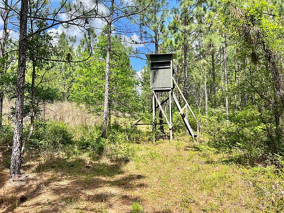 Cook Still Rd Lot Wp001, Milan, GA 31060 | Zillow