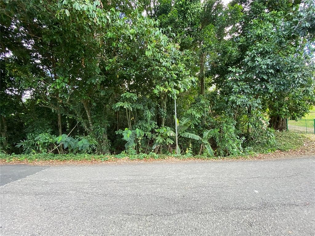 State Route 352 Km #2.4, Mayaguez, PR 00680 | MLS #PR9104966 | Zillow