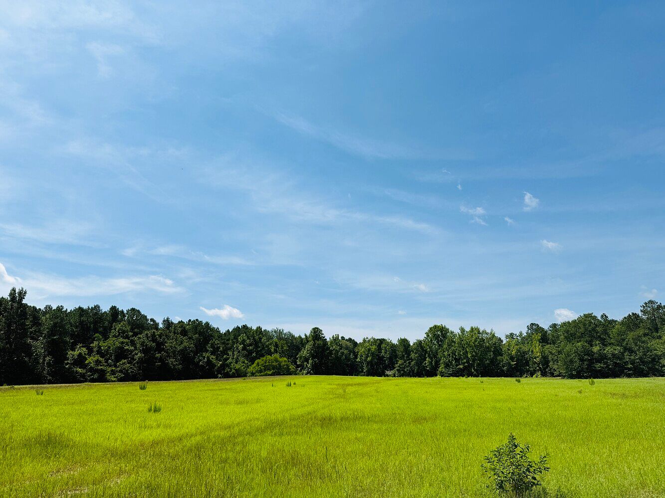 0 N Elwell Ferry Rd, Kelly, NC 28448 | MLS #11540463 | Zillow