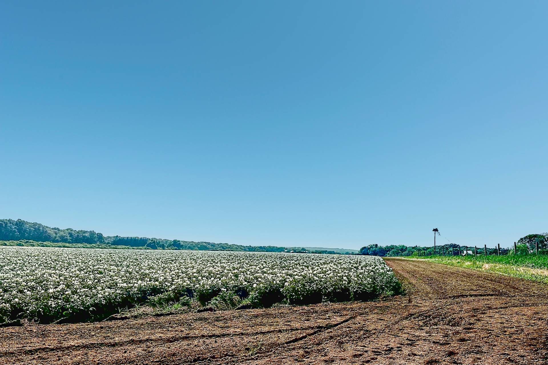 141 Scuttle Hole Rd, Water Mill, NY 11976 | Out East