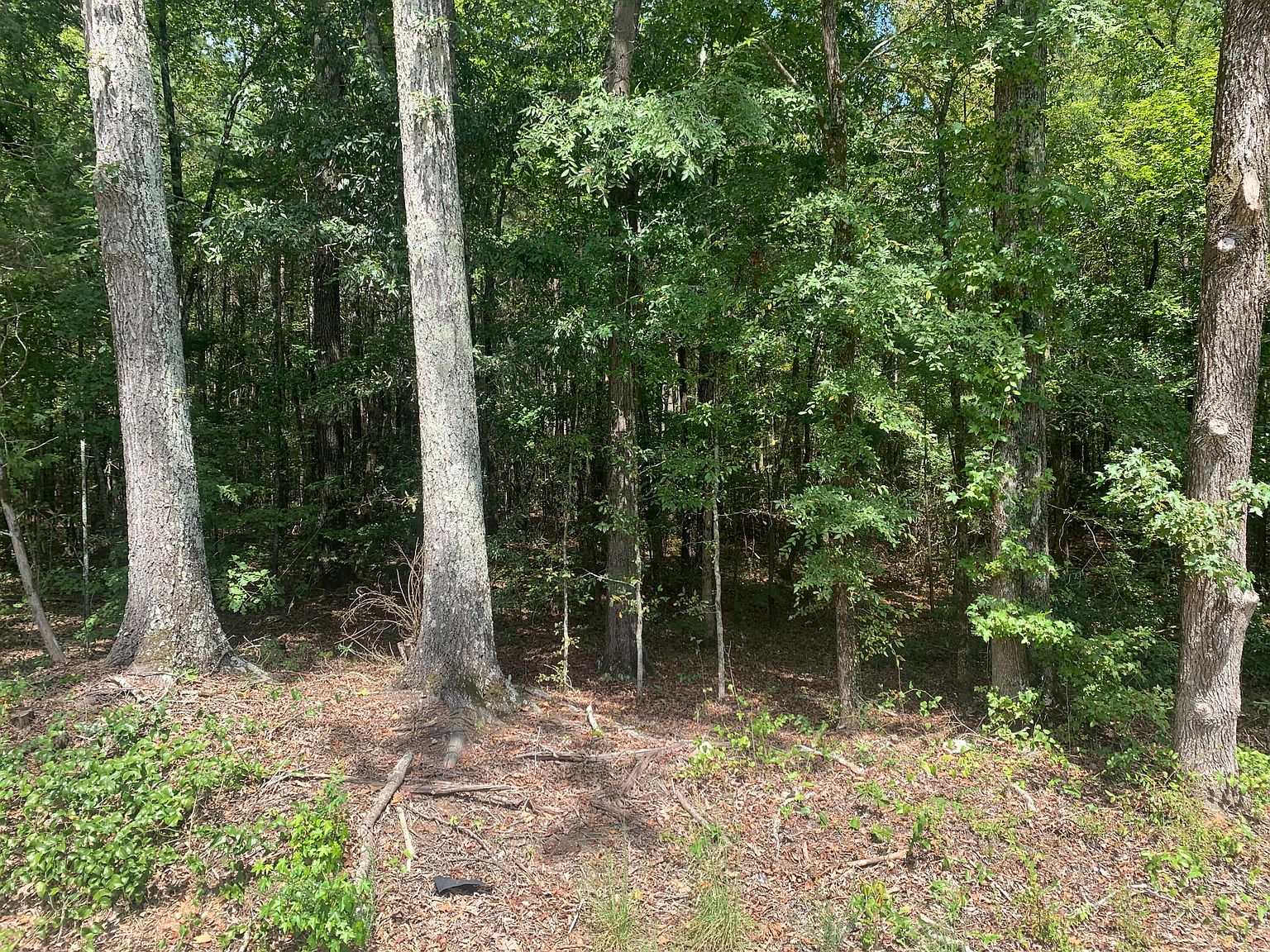 0 Lexington Rd, Rayle, GA 30660 | Zillow