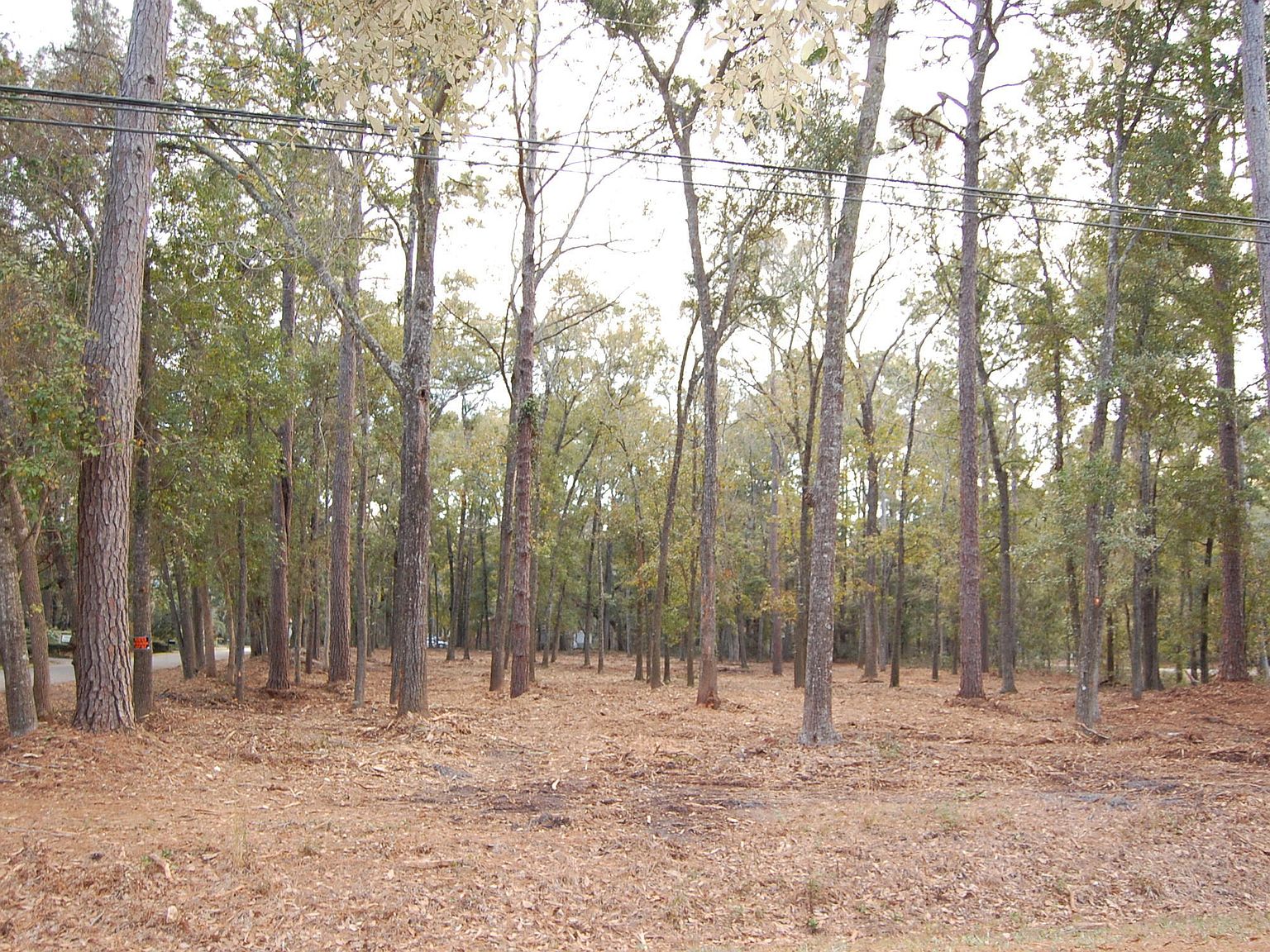 15 Attaway Ln, Beaufort, SC 29907 | Zillow