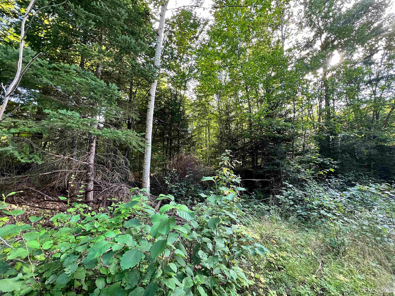 LOT 159 Blue Rd, Nisula, MI 49952 | Zillow