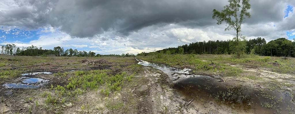 0 Old Coffee Rd, Wray, GA 31798 | Zillow