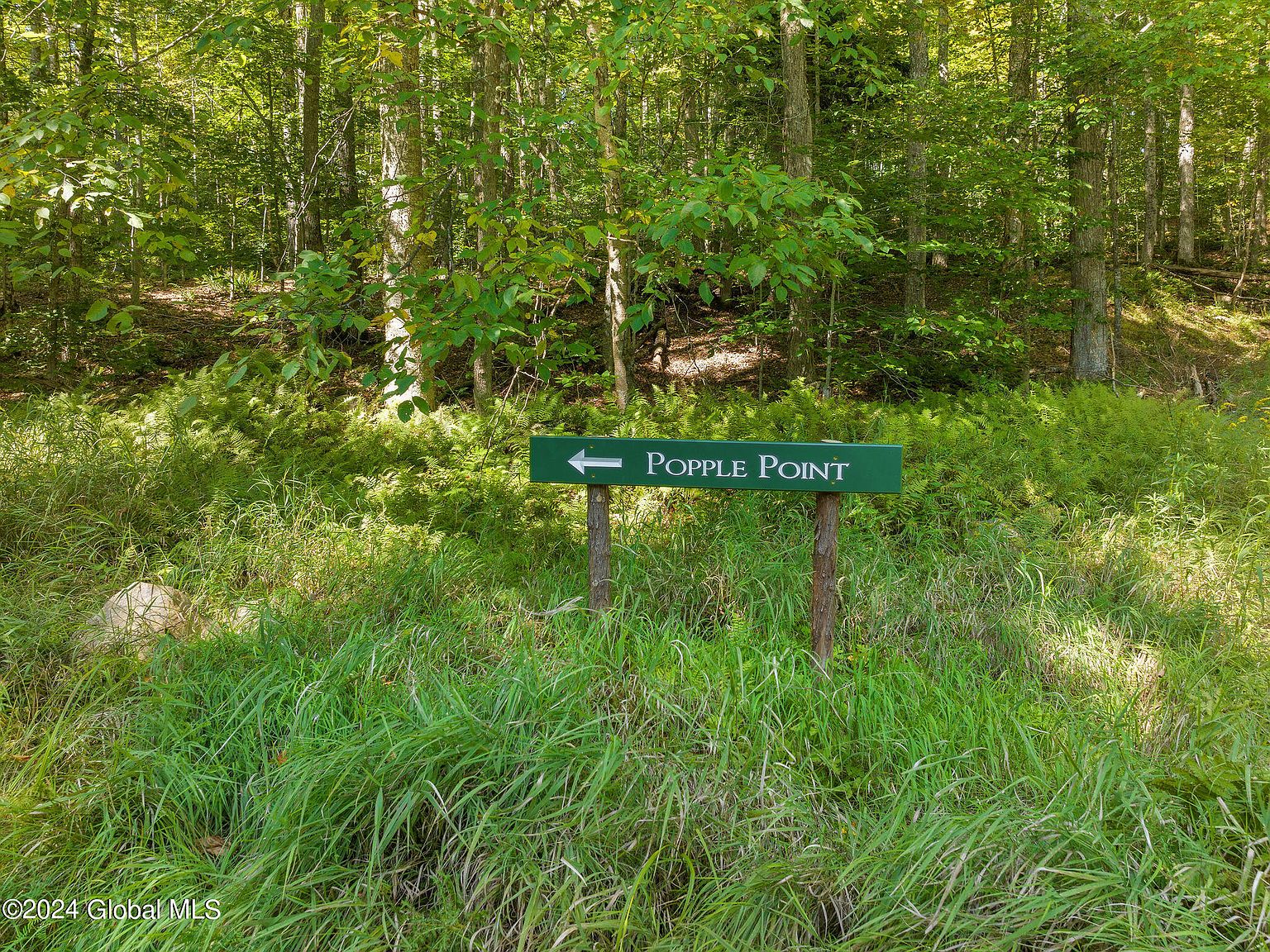 357 Popple Point, Long Lake, NY 12847 | Zillow