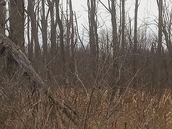 N/a E Gordon Rd, Au Gres, MI 48703 | MLS #1920307 | Zillow