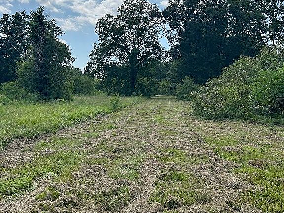 8241 Bueche Rd, Erwinville, LA 70729 | Zillow