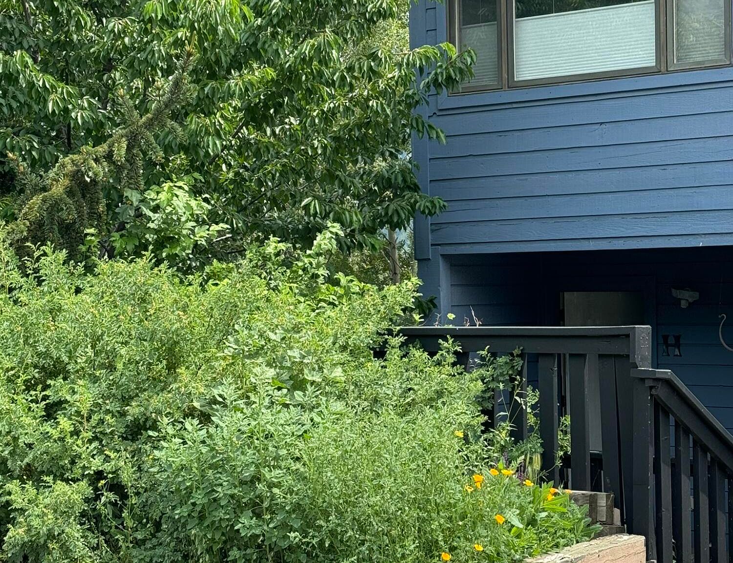 211 Nottingham Rd APT H, Avon, CO 81620 | Zillow