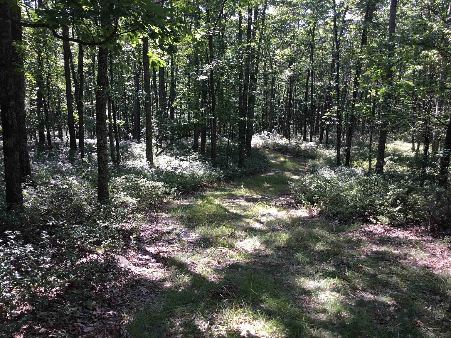 Hinkle Mountain Rd, Petersburg, WV 26847 | MLS #656170 | Zillow