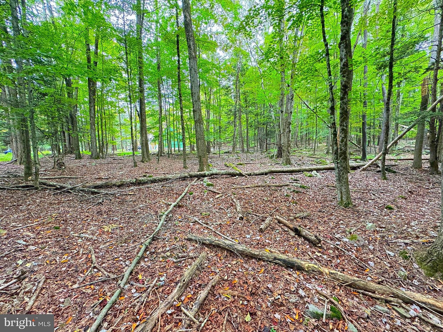 57-58 Orion Way, Lake Ariel, PA 18436 | Zillow