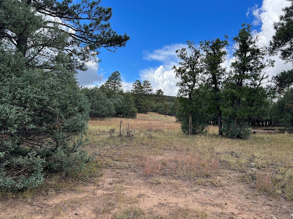 75 Doe Rim Dr, Los Ojos, NM 87551 | Zillow