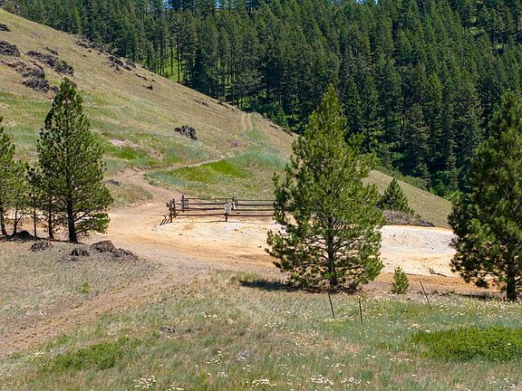 Nka 12988ac Blue Jacket Mine Rd, Lucile, ID 83542 | Zillow