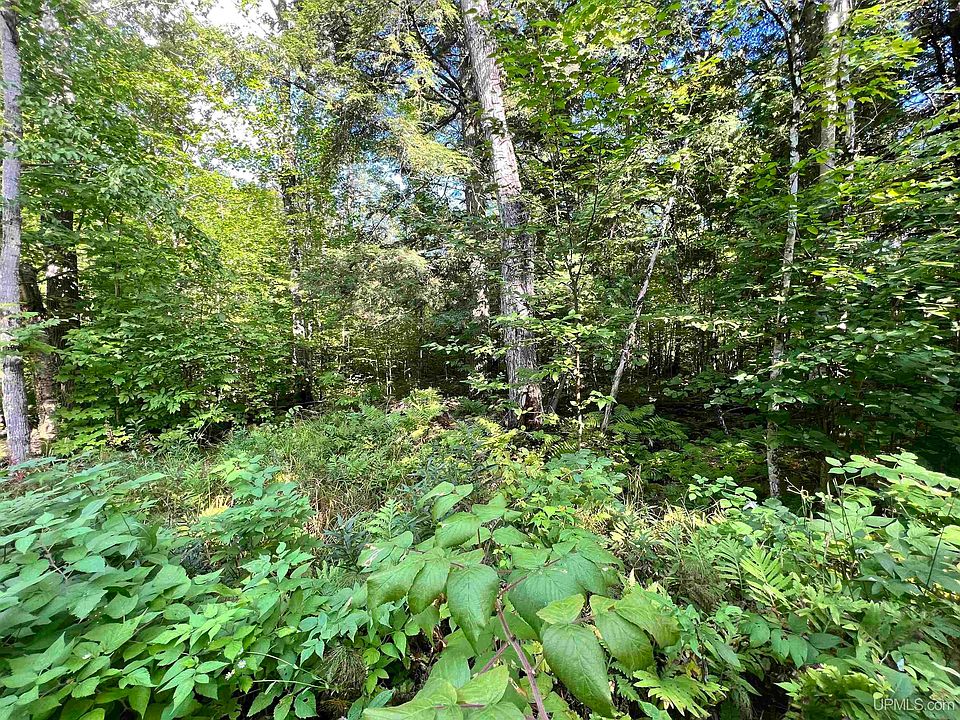 67-67 Brown Rd #68, Nisula, MI 49952 | MLS #50089854 | Zillow