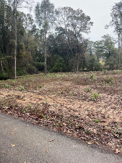 115 Faulkner Rd, Lucedale, MS 39452 | MLS #4098300 | Zillow