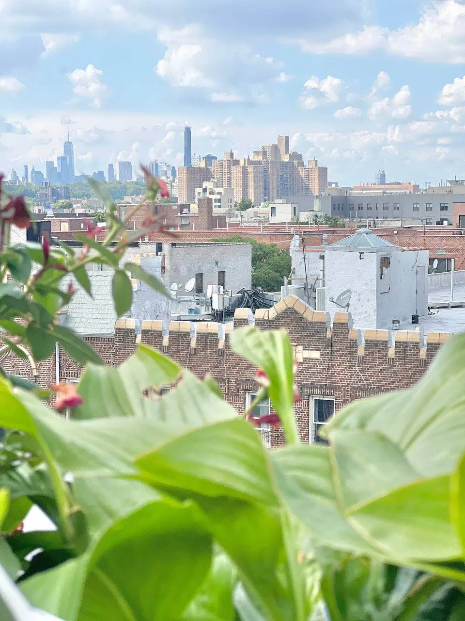 308 Linden Boulevard #3A in Flatbush, Brooklyn | StreetEasy