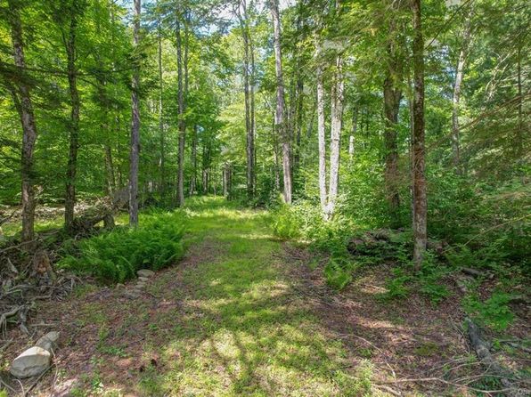Forestburgh Real Estate - Forestburgh NY Homes For Sale | Zillow