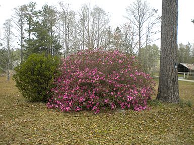 17932 Rayford Shumock Rd, Moss Point, MS 39562 | Zillow