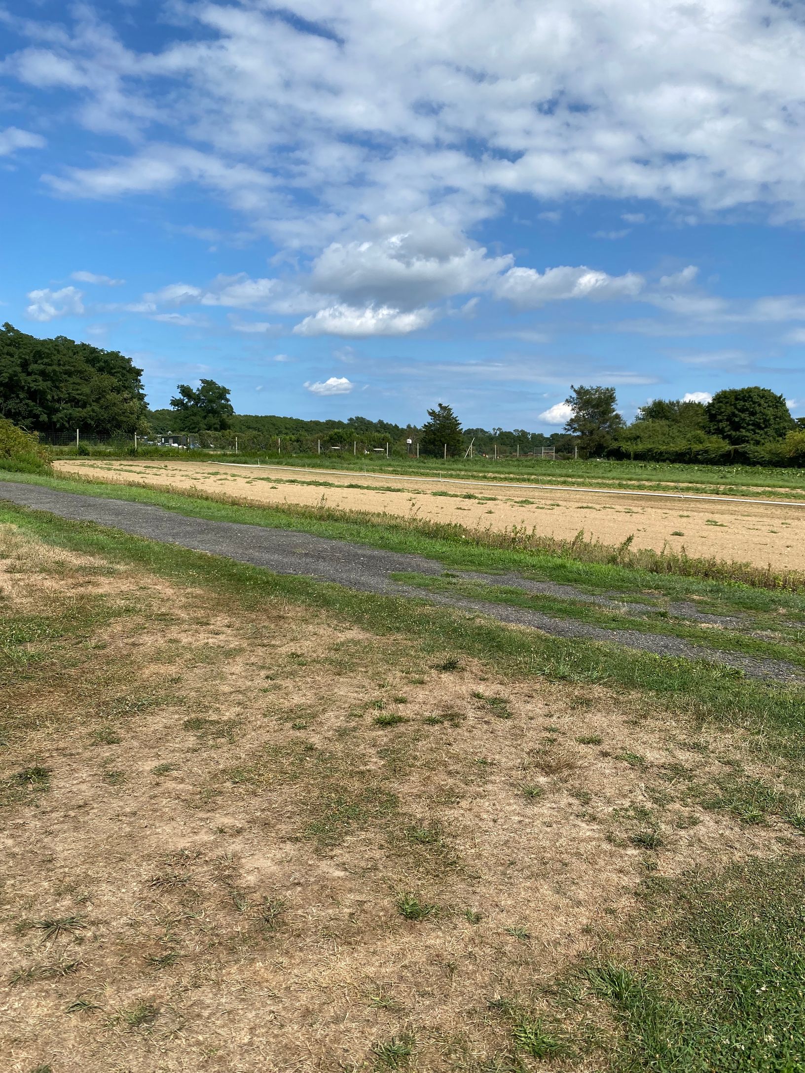 Lot 1 County Rd 48 and Bridge Ln, Cutchogue, NY 11935 | Out East