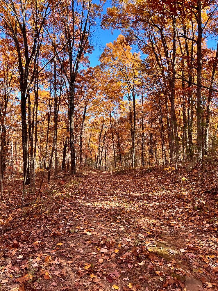 14180 Sugar Mountain Rd, West Fork, AR 72774 | MLS #11254143 | Zillow