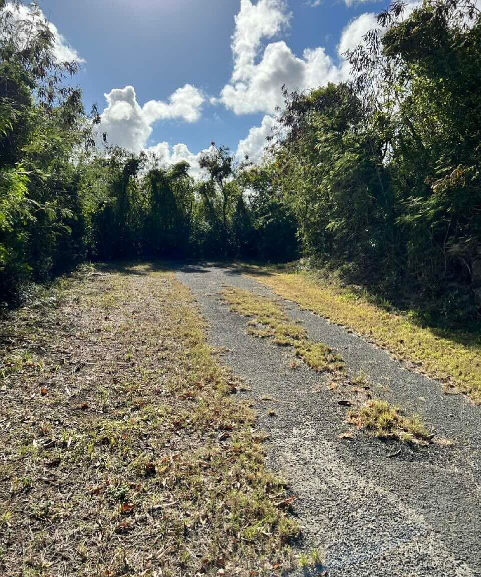 197 Mary's Fancy QU, Christiansted, VI 00820 | MLS #25-1145 | Zillow