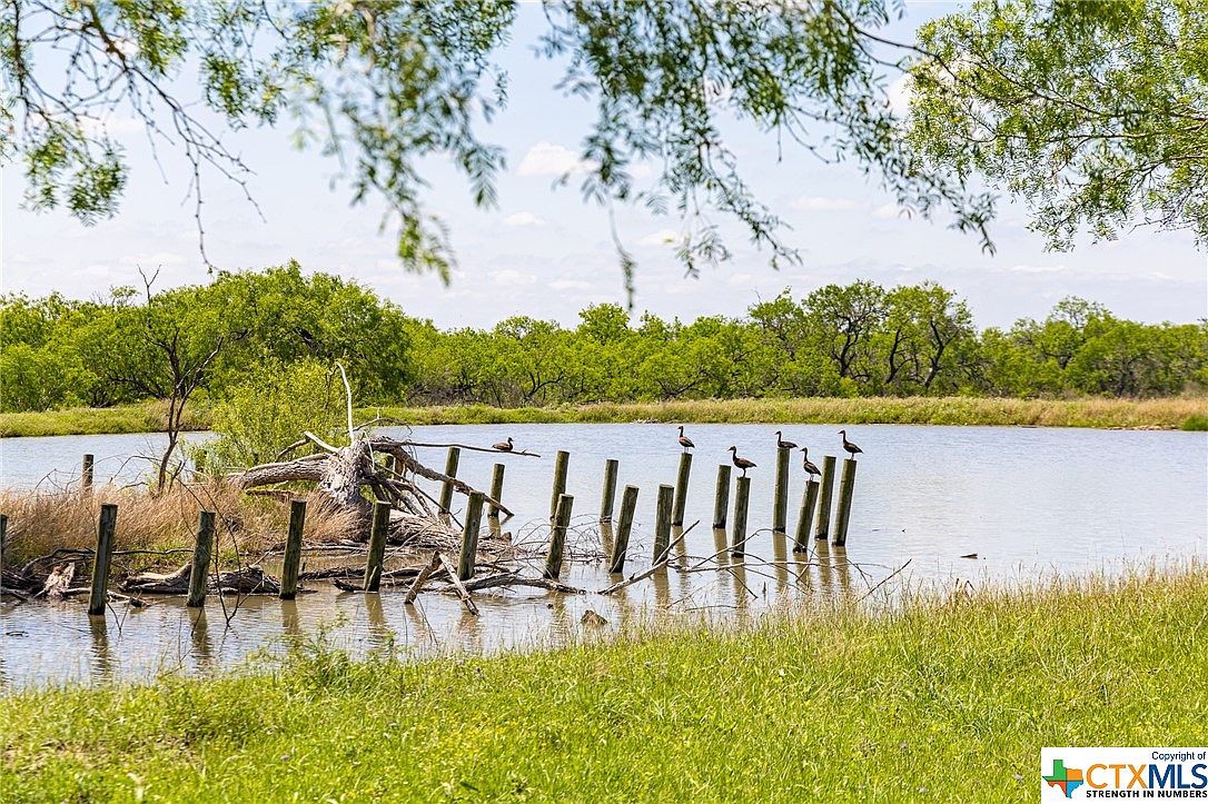 260 County Road 437, Whitsett, TX 78075 | Zillow