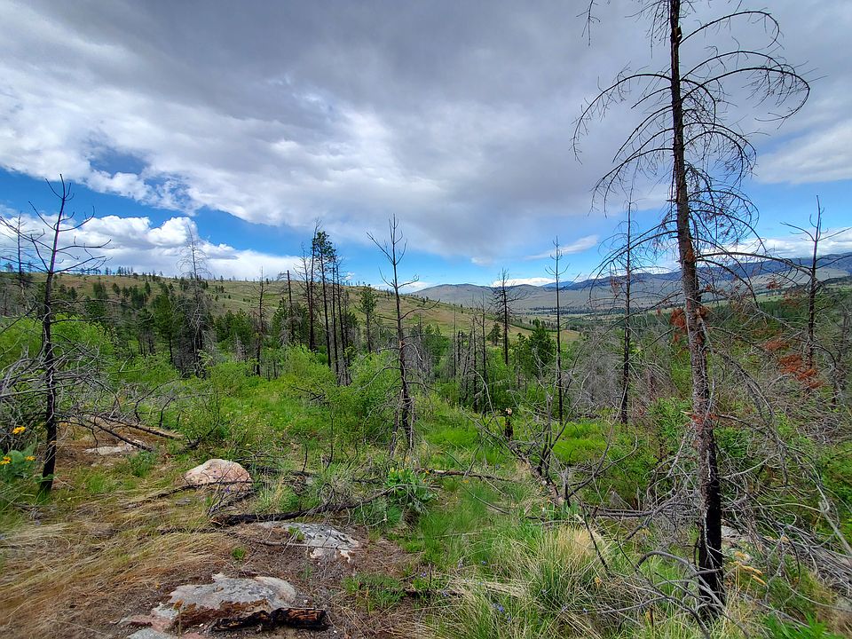 570X Tunk Creek Rd, Riverside, WA 98849 | MLS #11091839 | Zillow